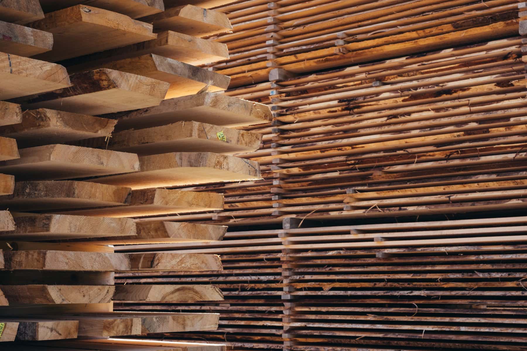 What Is Teak Plywood? - 2025